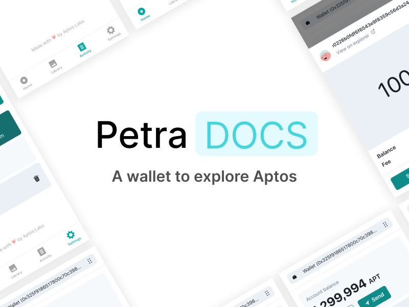 Identifying Errors - Petra